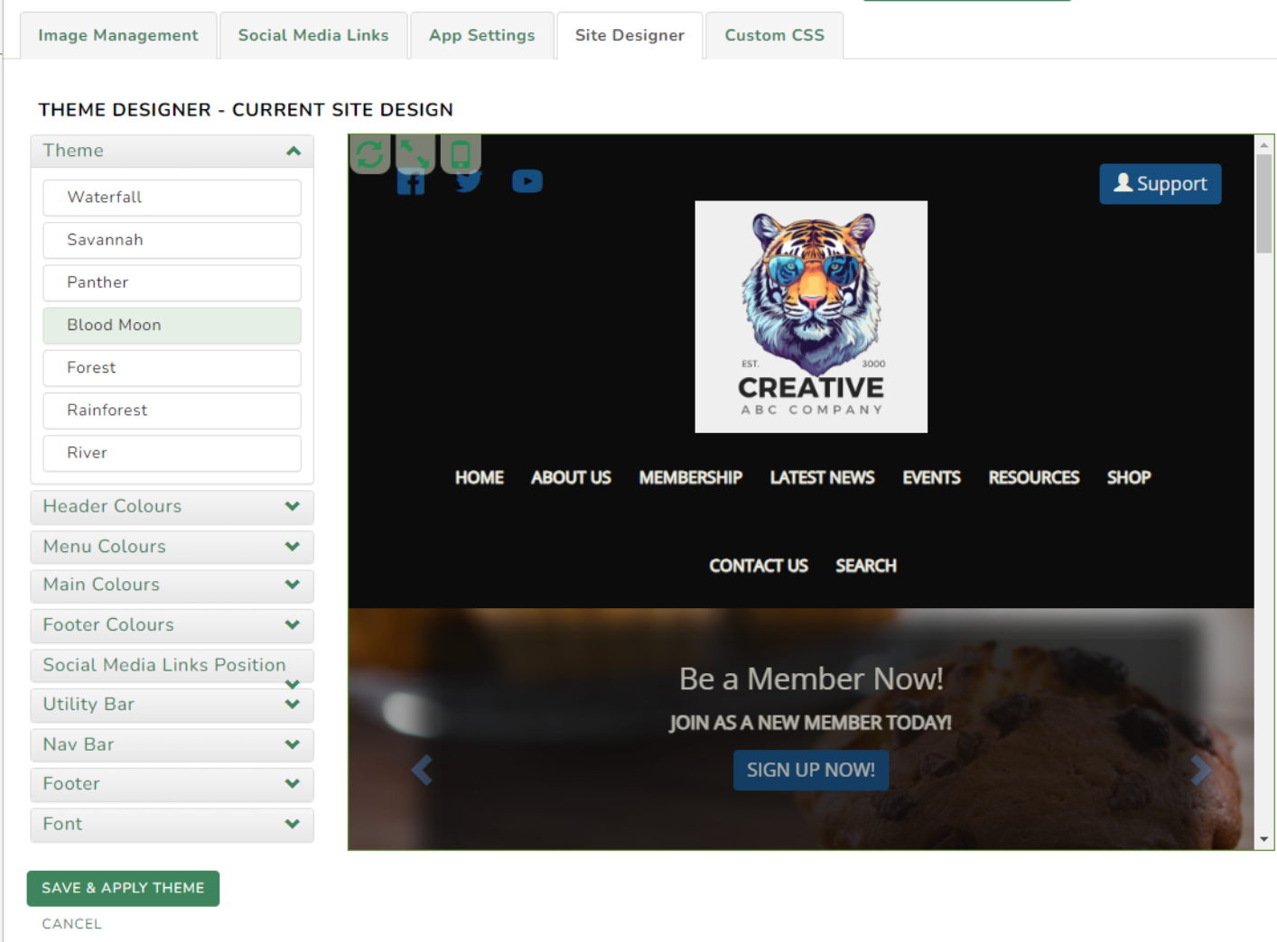 Site Design