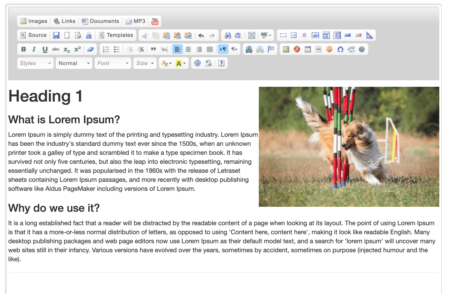 Editing Page Content & Using the Content Editor